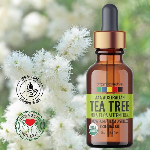 Australian Tea Tree Essential Oil - Organix Mantra